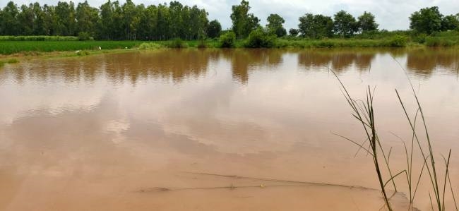 मारकंडा नदी में 10 हजार क्यूसेक पानी आया - There was a boom in the ...