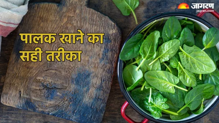 पालक का इन तरीकों से सेवन हो सकता है सेहत के लिए खतरनाक, जान लें इसे ...