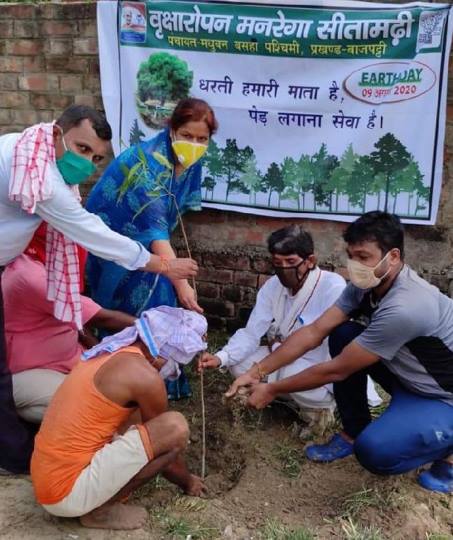 जिले भर में पौधारोपण की रही धूम, आम वो खास सबने लगाए पौधे - There was a ...