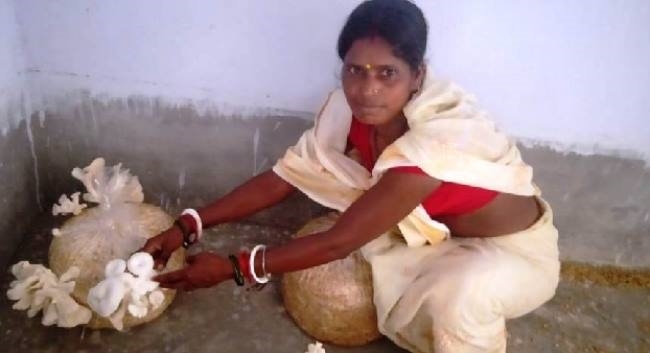 स्वरोजगार कर गांव की महिलाएं बन रहीं आत्मनिर्भर - women becoming ...