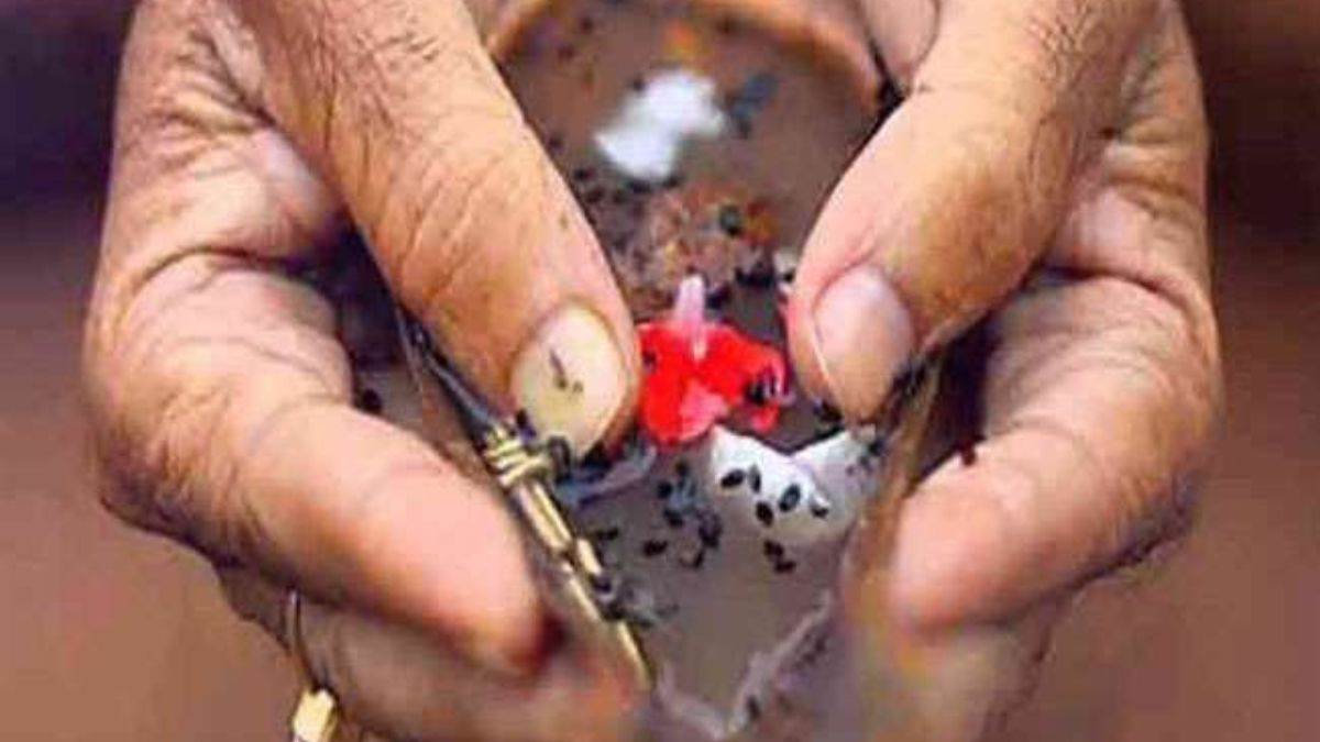 Pitru Paksha Shradh 2022: पितरों के आत्मा की शांति के लिए इस तरह करें ...