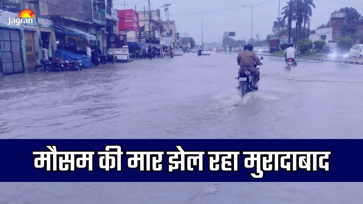 Moradabad Rain Update: मुरादाबाद में भारी बारिश, जलभराव के चलते नाले ...