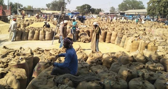 मंडी में धान के ढेर क्रय केंद्रों पर सन्नाटा - Mainpuri: Paddy stack in ...