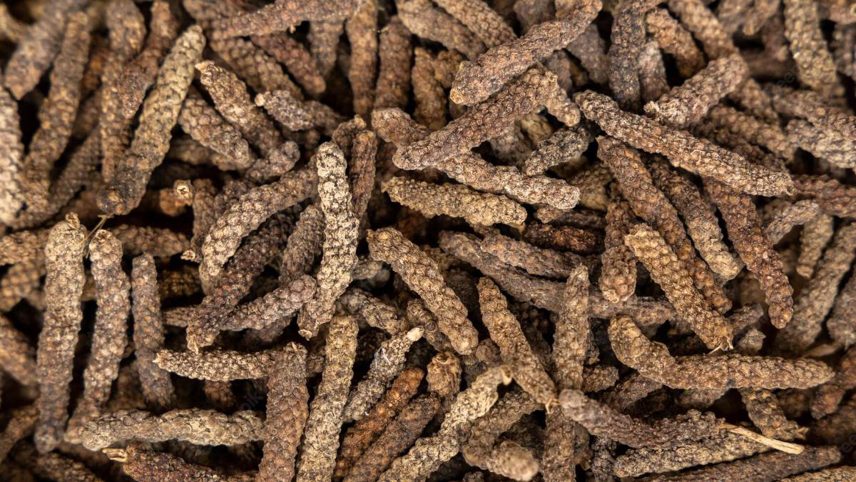 Pippali Benefits: कब्ज से लेकर नींद न आने तक की समस्या दूर करने में ...