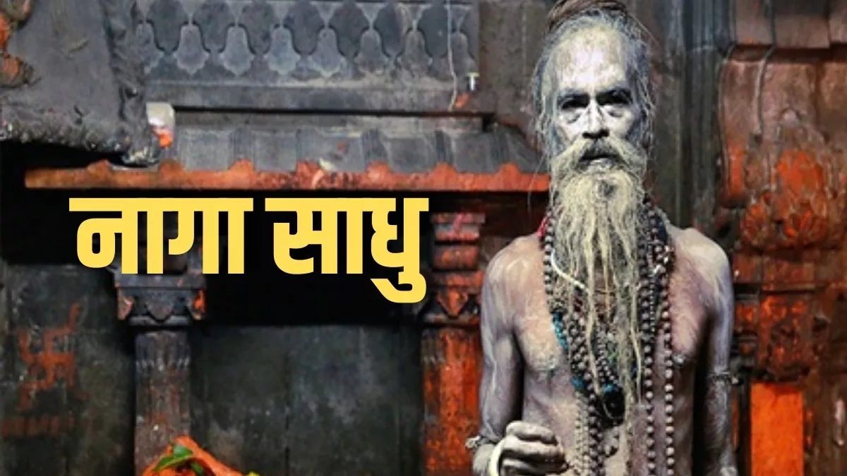 Naga Sadhu: नागा साधु बनने से पहले देनी होती है कठिन परीक्षा, जानें ...