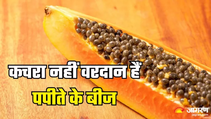 अगर कचरा समझ आप भी फेंक देते हैं पपीते के बीज, तो फायदे जानने के बाद ...