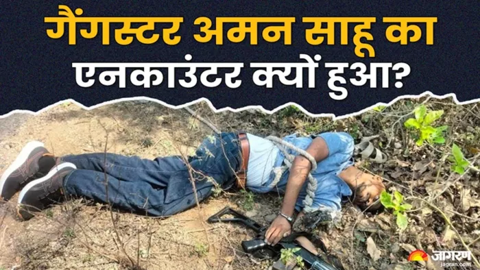Aman Sahu Encounter: गैंगस्टर अमन साहू का एनकाउंटर क्यों करना पड़ा ...