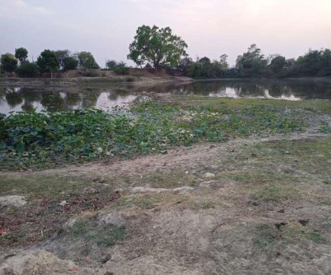 Water Conservation कभी इस तालाब के पानी से पकती थी दाल, पशु-पक्षियों व ...