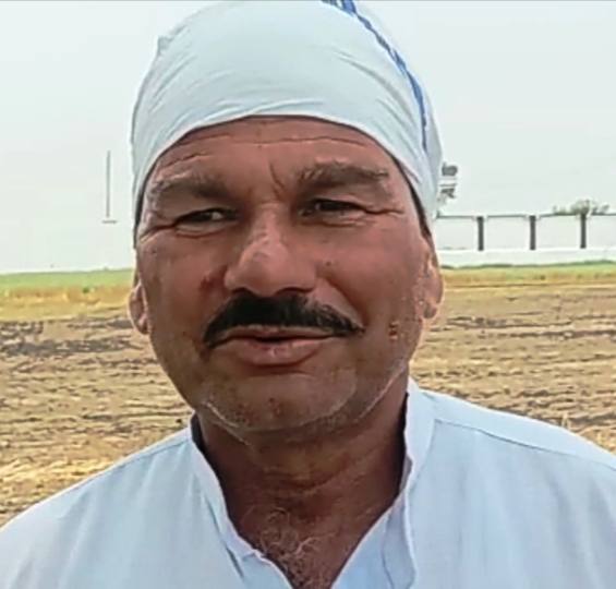 धान की सीधी बिजाई कर उपजा रहे बंपर फसल - Advance farmer Swaran Kumar is ...