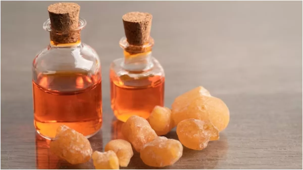 Loban Oil Benefits: लोबान के तेल में हैं कई जादुई गुण, स्किन केयर के ...