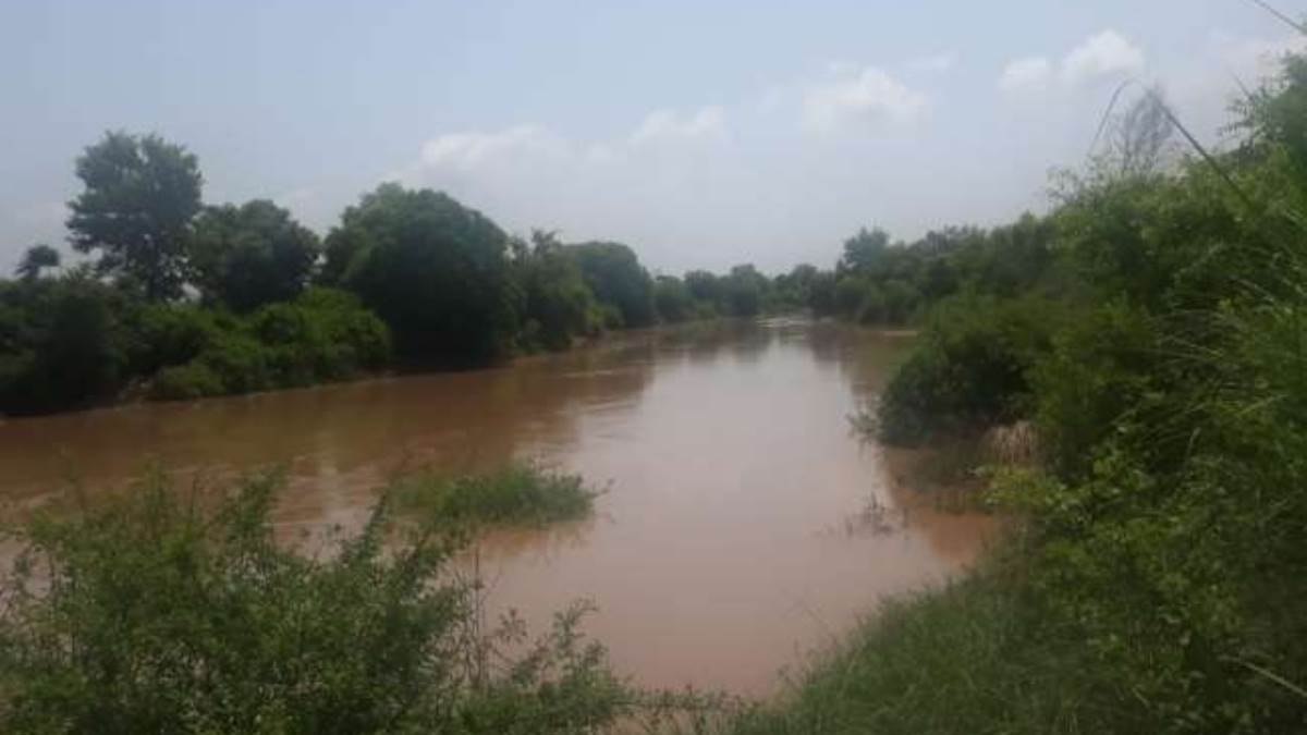 Ambala: गुजरात के राज्यपाल के दखल के बाद पुलिस ने 731 छात्राओं को ...