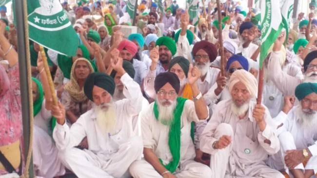 बरनाला की बजाए महलकलां पहुंचे संघर्षशील किसान : उप्पली - Struggling ...