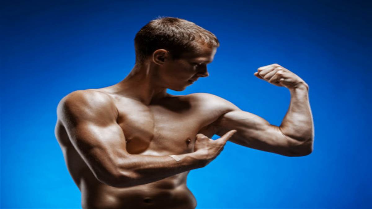 Muscles And Health 