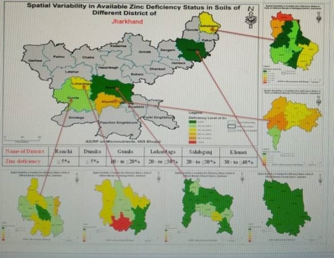 झारखंड की मिट्टी में 40 फीसद तक जिक की कमी - Jharkhand soil has up to ...