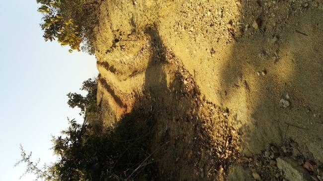 गुम हो गई मनरेगा की 40 सड़कें - 40 roads of Manrega missing in Chatra ...