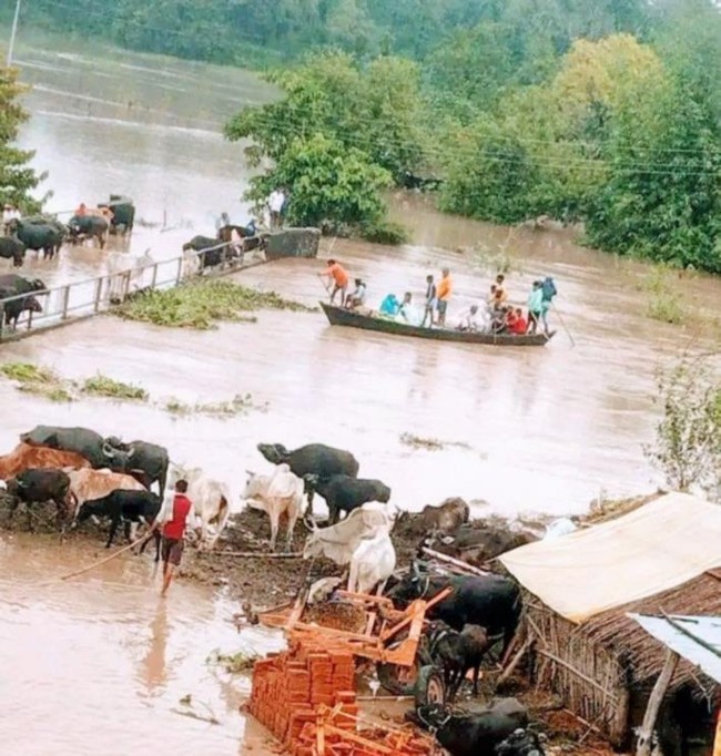 Rain In UP: यूपी में बारिश के साथ बाढ़ भी बनी जानलेवा, अलग-अलग जिलों ...