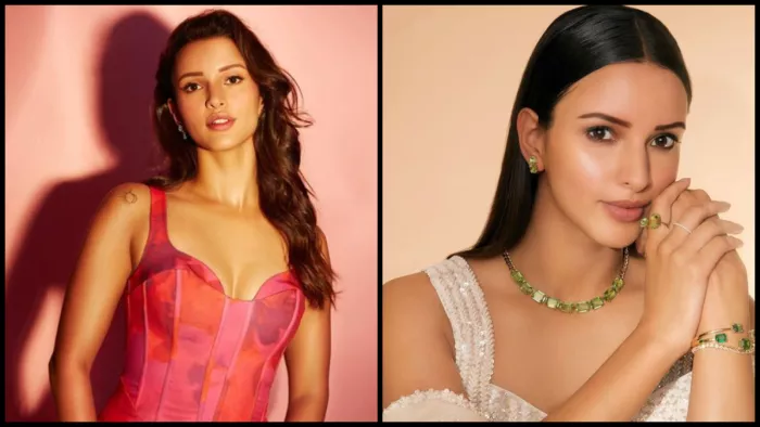 Animal: 'एनिमल' की सक्सेस ने उड़ा दी थी Tripti Dimri की रातों की नींद ... Animal: 'एनिमल' की सक्सेस ने उड़ा दी थी Tripti Dimri की रातों की नींद ...