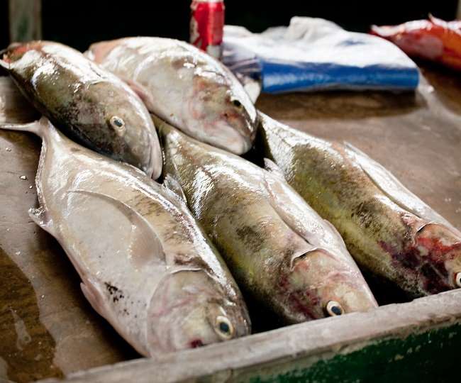 Bird Flu Alert In UP: बर्ड फ्लू के खौफ में नॉनवेज ईटर्स के लिए मछली बनी ...