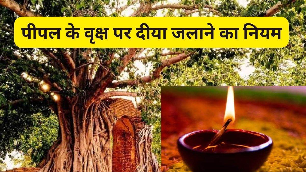 Peepal Puja: पीपल के समक्ष दीया जलाते समय इन नियमों का रखें ध्यान, यहां ...