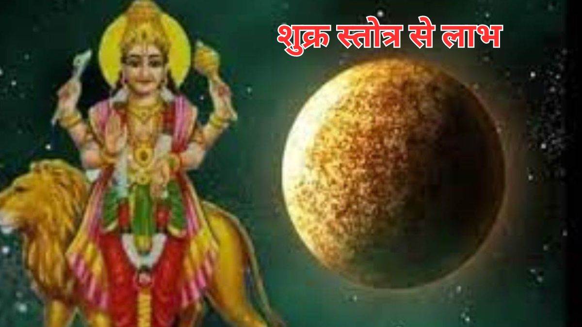 Shukra Puja: धन-वैभव से भरा रहेगा आपका घर, शुक्रवार के दिन जरूर करें इस ...
