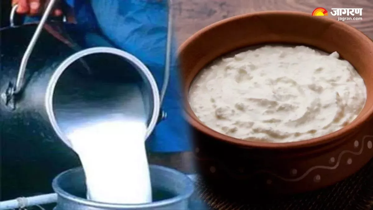 Holi 2025: होली पर दौड़ेगी 'दही एक्सप्रेस', फूड सेफ्टी डिपार्टमेंट भी ...