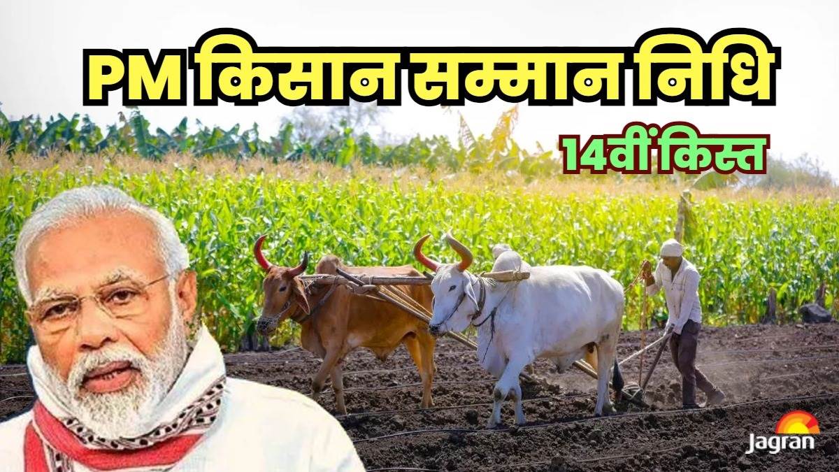 PM KISAN SAMMAN NIDHI: बिहार के लाखों किसानों की 14वीं किस्‍त पर मंडरा ...