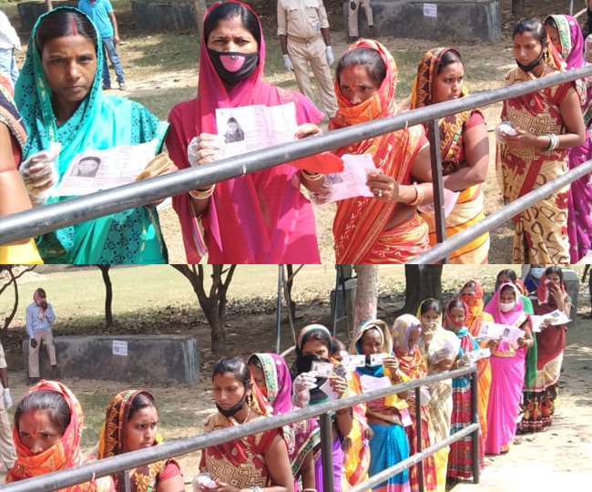 Bihar Assembly Election Results 2020 युवा मतदाताओं के जोश पर भारी पड़ी ...