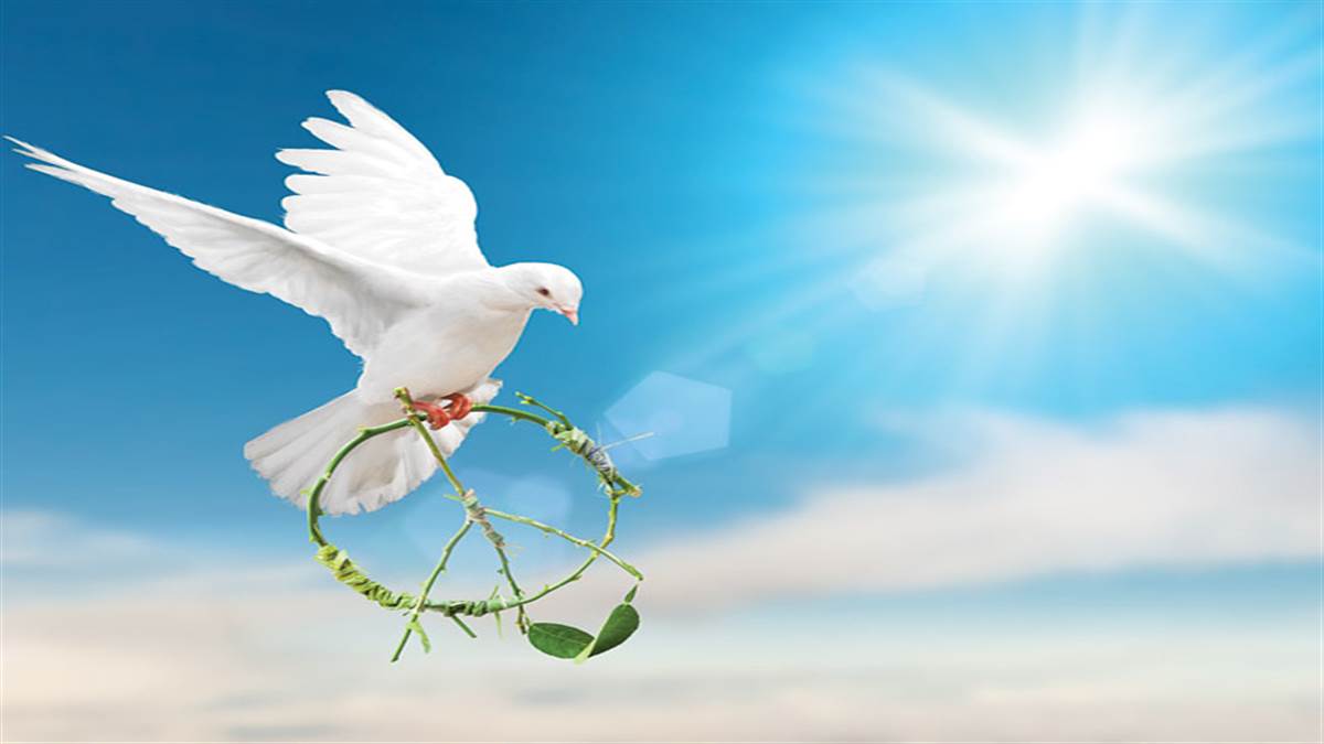 बिन सोचे ही चला देते हैं शब्दों की तलवार, अंतरराष्ट्रीय सहिष्णुता दिवस ...