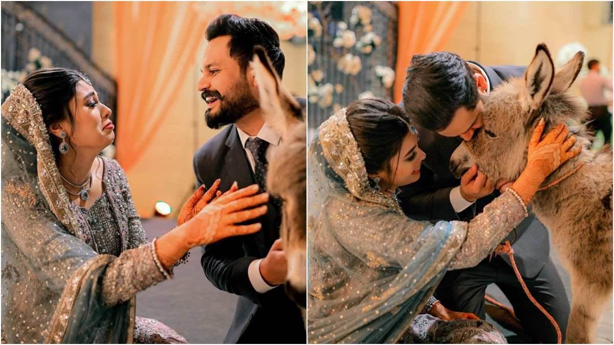Viral Video: जब एक पाकिस्तानी दूल्हे ने दुल्हन को तोहफे में दिया गधा ...