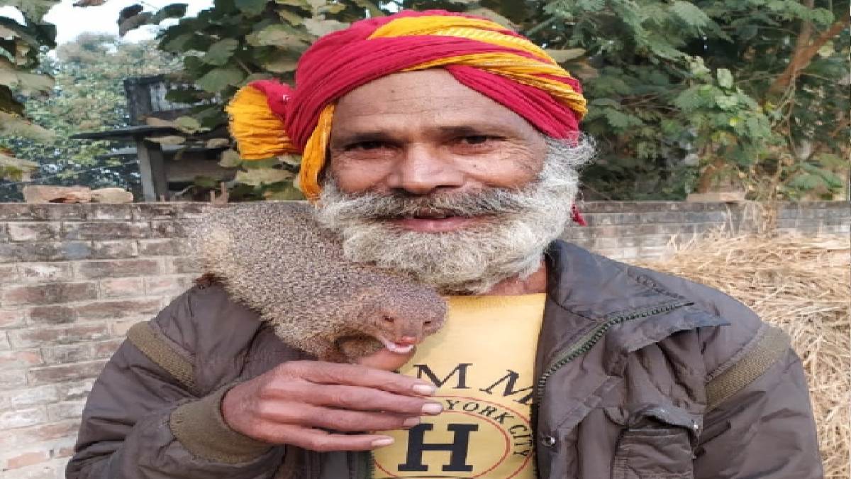 बक्‍सर में आदमी और नेवले की दोस्ती देखने दूर-दूर से आ रहे लोग, हर वक्‍त ...