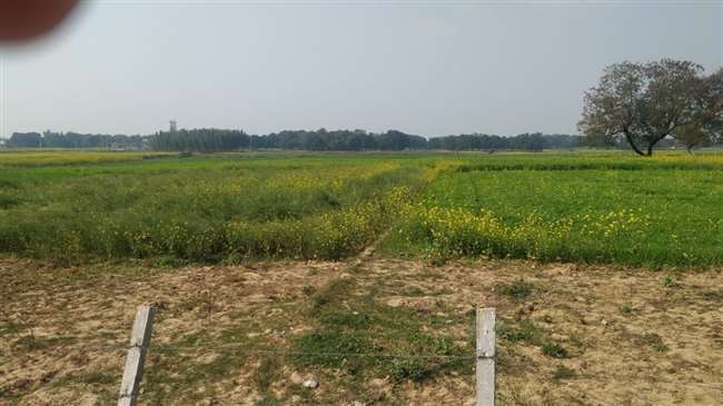 ओवर ब्रिज बनाने के लिए दोगुने सर्किल रेट पर किसानों से खरीदी एप्रोच रोड ...