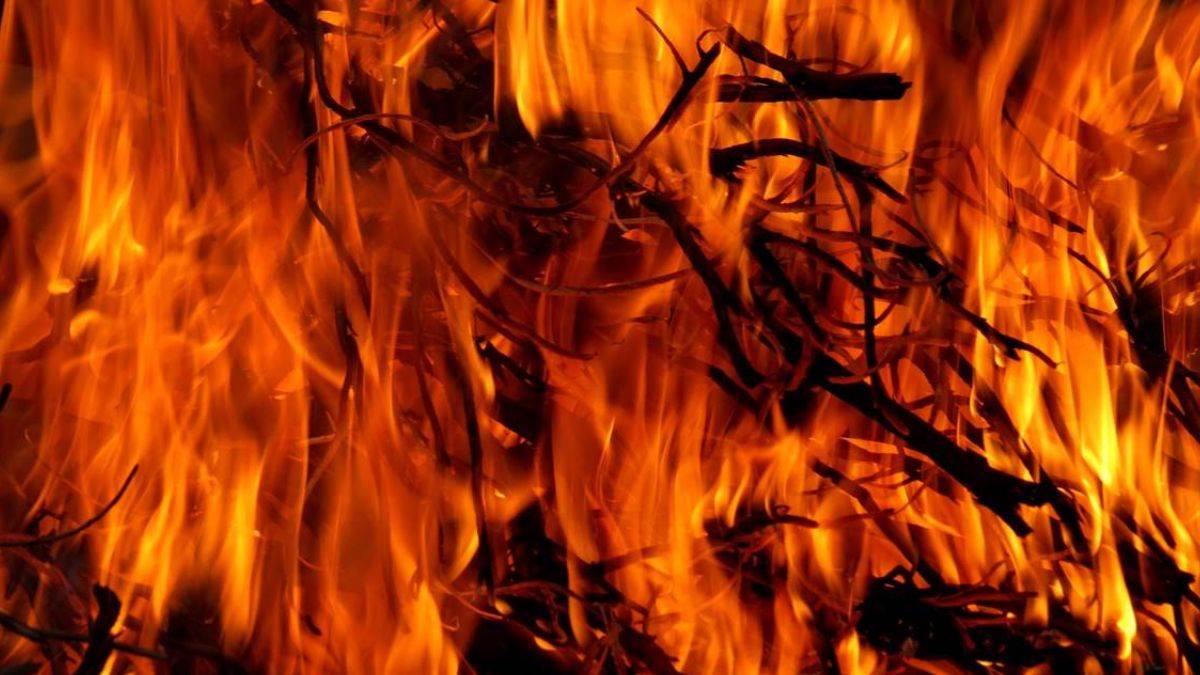 Kullu Fire News: कुल्लू के सरवरी में आग लगने से जिंदा जला बुजुर्ग, करीब ...