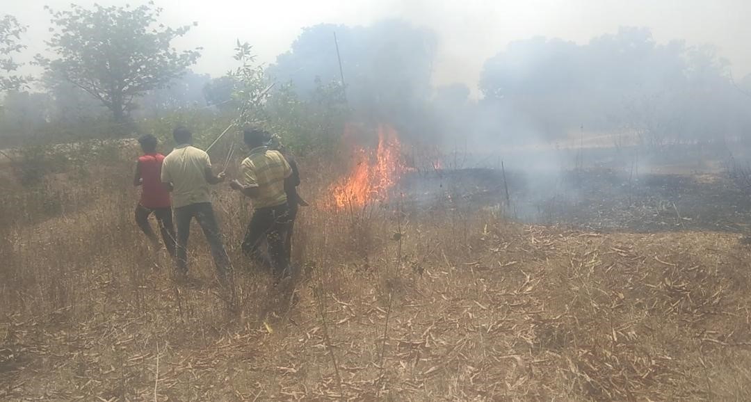 Jharkhand forest fire: महुआ चुनने के लिए यहां जंगलों में लगा देते हैं ...
