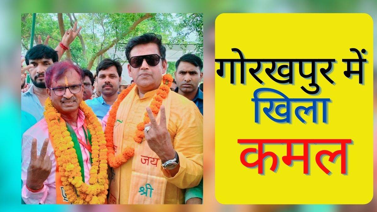 Live Gorakhpur Nagar Nigam Election 2023 Result गोरखपुर में खिला कमल ...