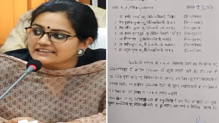 शासन तक पहुंचा डीएम का पत्र, सीवीओ पर कार्रवाई पर चल रहा विचार, गाय के ...