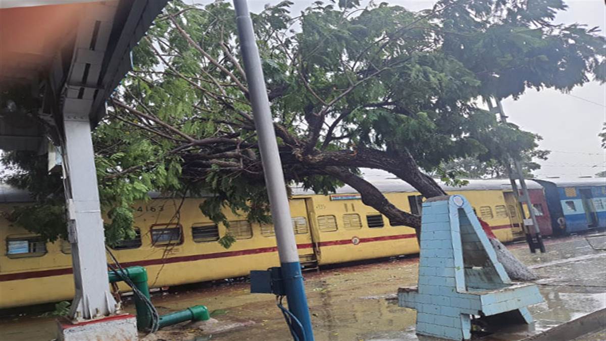 IRCTC गोमो-बरकाकाना सवारी गाड़ी के ऊपर गिरा पेड़ यात्र‍ियों ने ट्रेन से ...
