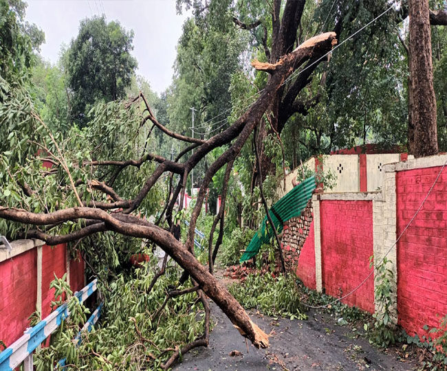 IRCTC: गोमो-बरकाकाना सवारी गाड़ी के ऊपर गिरा पेड़... यात्र‍ियों ने ...