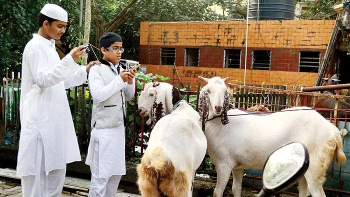 Eid ul Adha : बकरीद पर महंगाई का असर, आसमान छू रहे बकरों के दाम; इतने ...