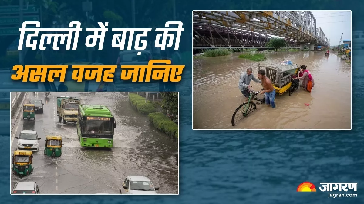 Delhi Flood: हरियाणा का पानी छोड़ना नहीं, दिल्ली में बाढ़ की यह है असल वजह; पढ़ें राजधानी क्यों ...