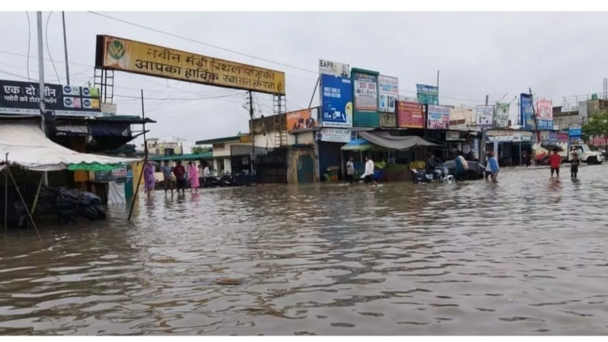 Roorkee News: रुड़की मंडी में नहीं पहुंची सब्जी, किसानों को हुआ नुकसान ...