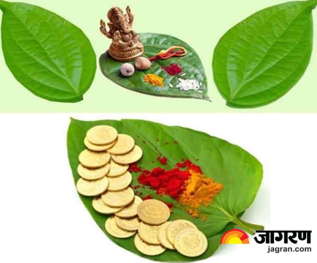 Paan Ke Upay: पान के पत्ते के इन उपाय से सभी समस्या होगी दूर, नजर दोष ...