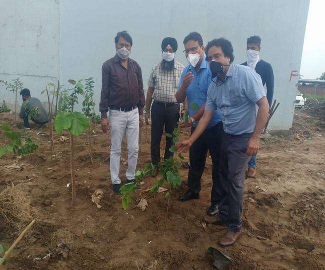 पर्यावरण संरक्षण की अनूठी मुहिम: लुधियाना के IRS अधिकारी राेहित मेहरा ...