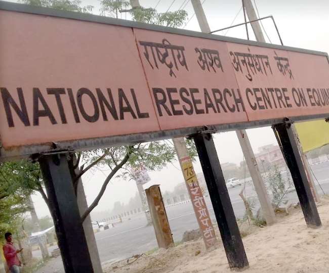 NRCE की ग्लैंडर्स जांच किट को खरीदेगा ब्राजील, अश्व प्रजाति के जानवरों ...