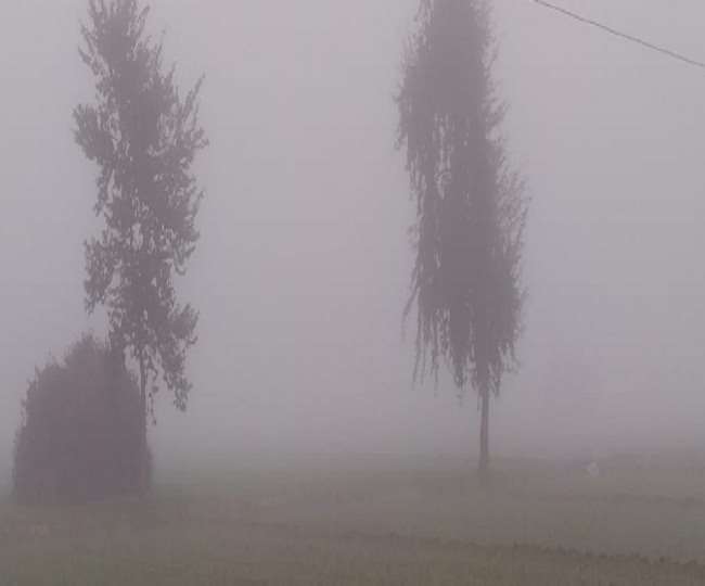 Haryana Panipat Weather Update : बारिश के बाद लुढ़का पारा, धुंध की चादर ...