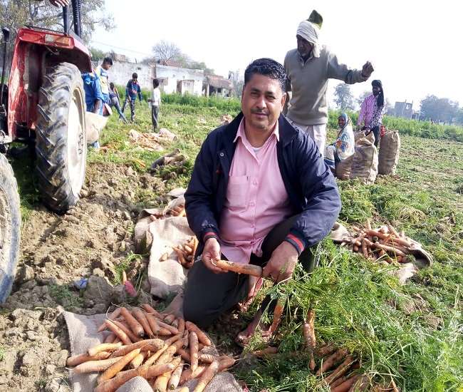 Good News : विदेशी गाजर की खेती बन रही फायदे का सौदा Aligarh news ...