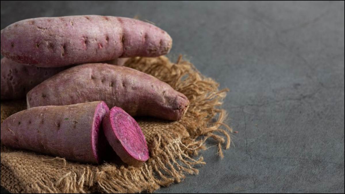 Ratalu Benefits: कैंसर समेत कई गंभीर बीमारियों का रामबाण इलाज है रतालू ...