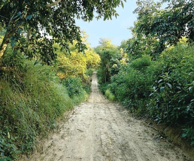 Good News पर्यटन के नक्शे पर अब हस्तिनापुर सैंक्चुअरी का भी नया मैप ...