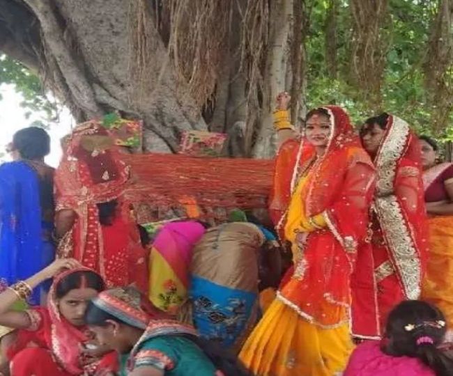 Bargad Tree Worship: आखिर पूजा के दौरान बरगद के पेड़ पर क्यों बांधा ...