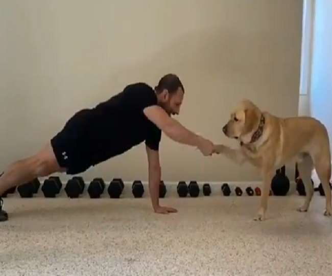 Workout With Dog: जब डॉगी ही बन गया मालिक का जिम ट्रेनर! ये वीडियो देख ...