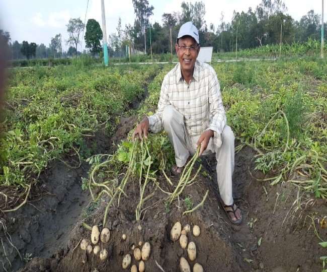 मौसम की मार पर भारी पड़ी तकनीक, बारिश और ओलावृष्टि में भी 'मोटा' हो रहा ...